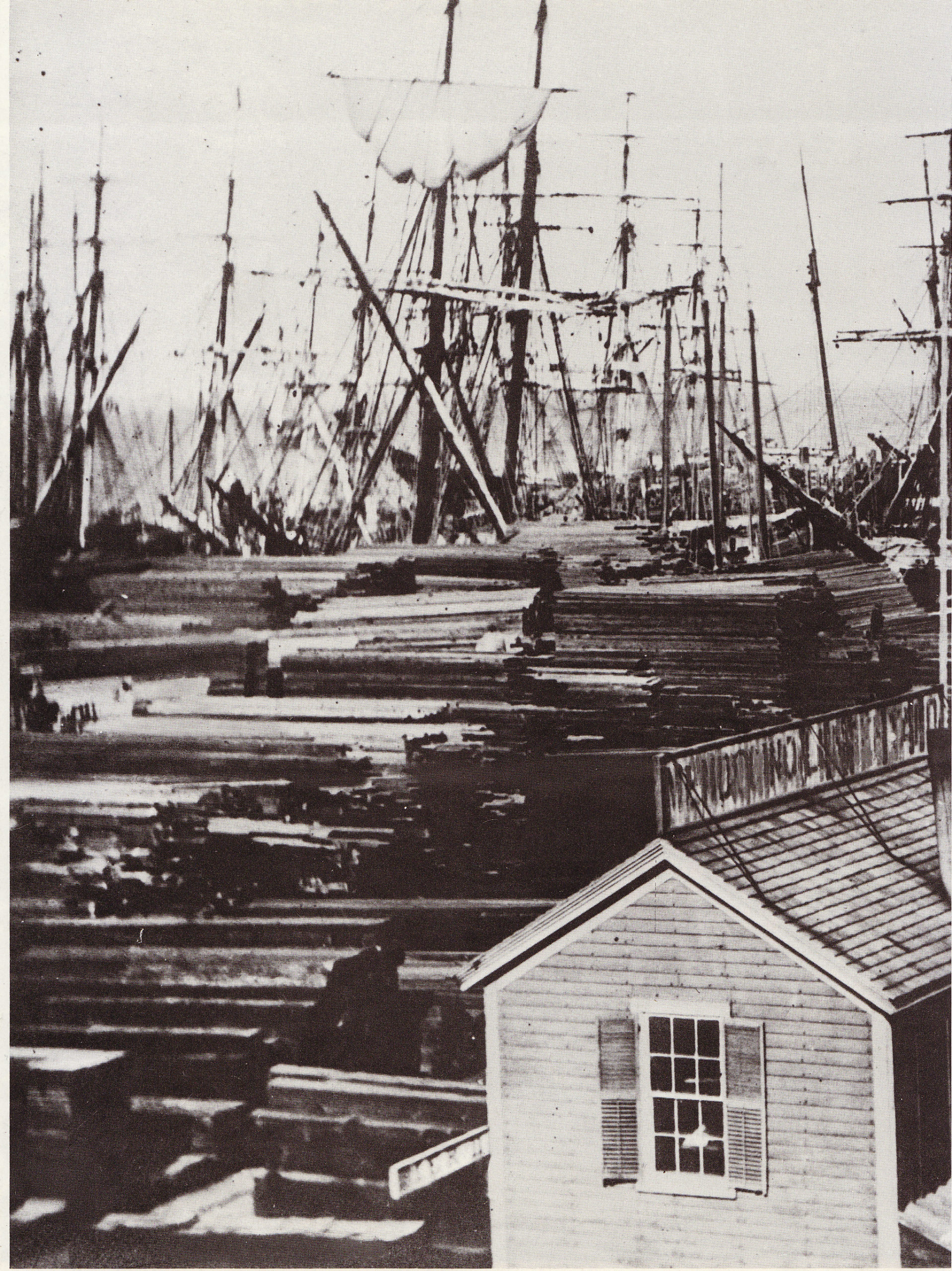 The Great Lumber Raft - Sawkill Lumber