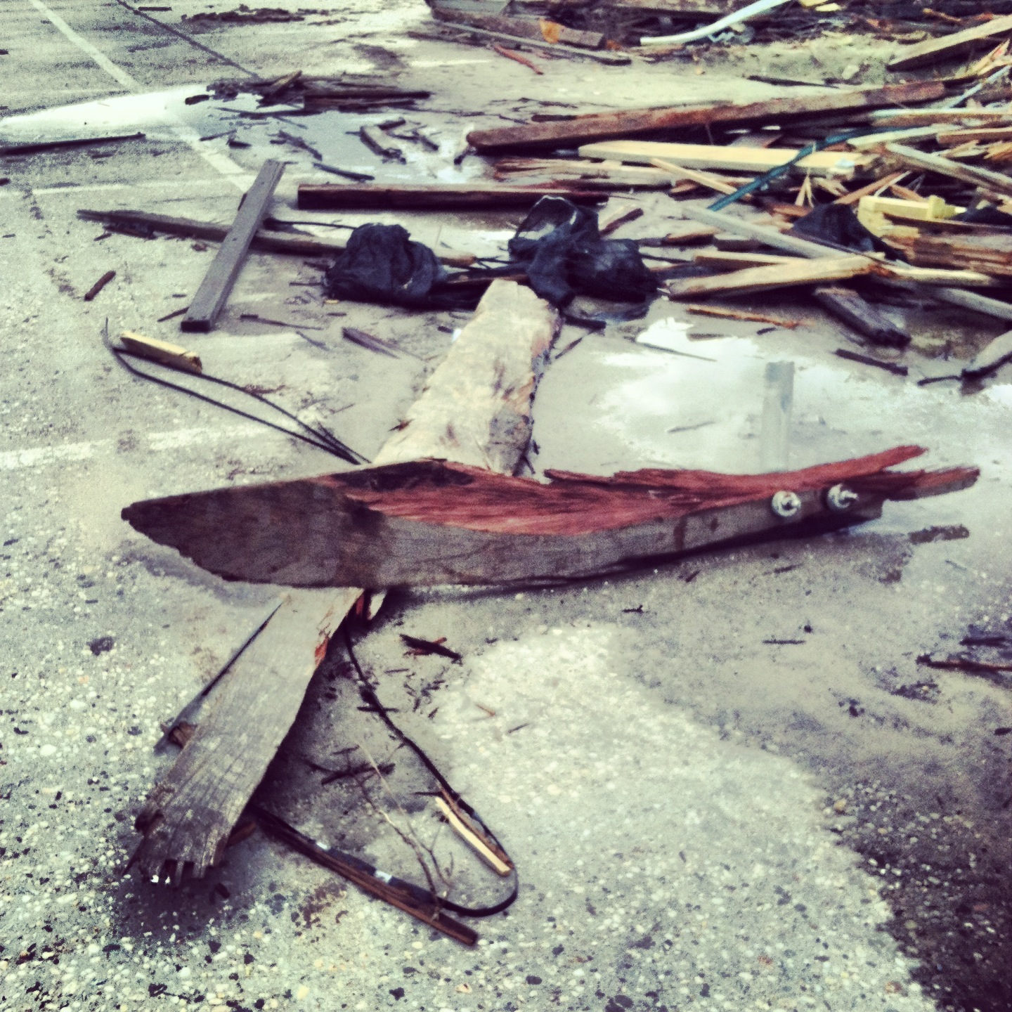 Evolution - Sawkill Lumber