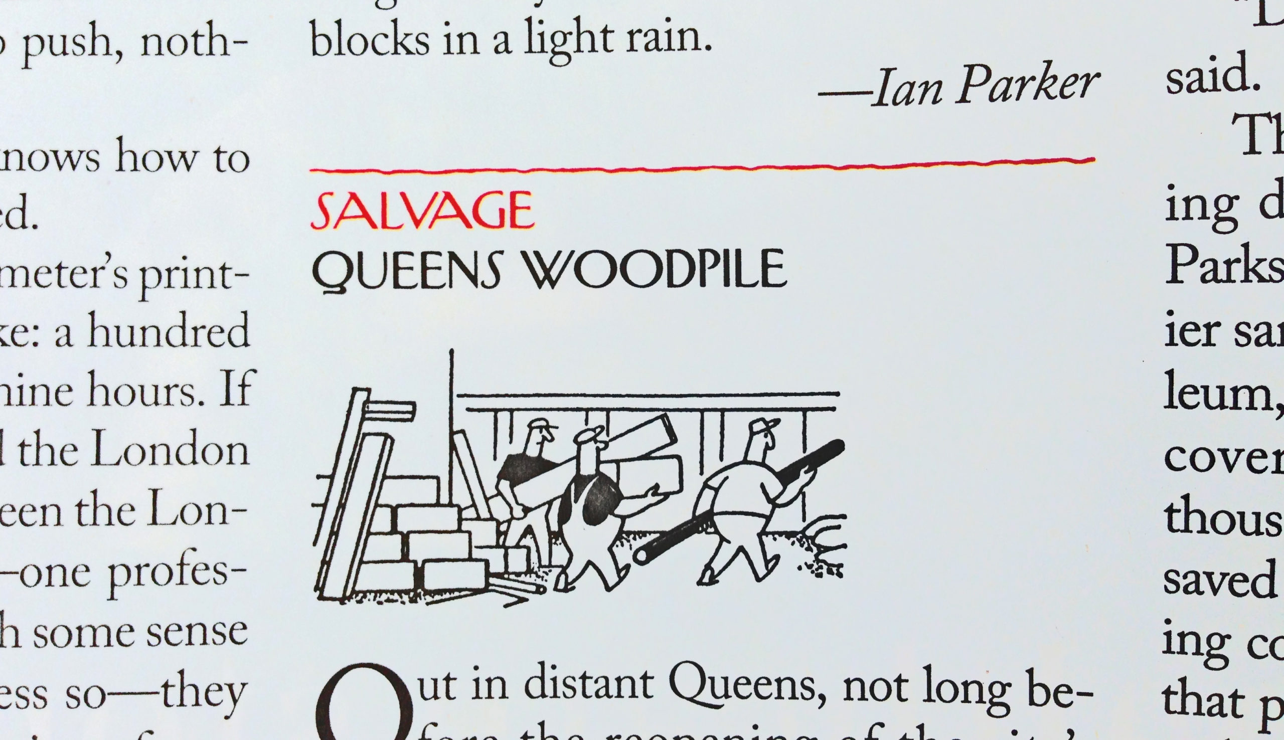 Sawkill Drawn into the New Yorker - Sawkill Lumber